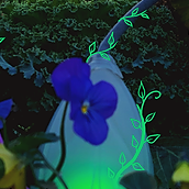 The Barefoot Fireflies | Linktree